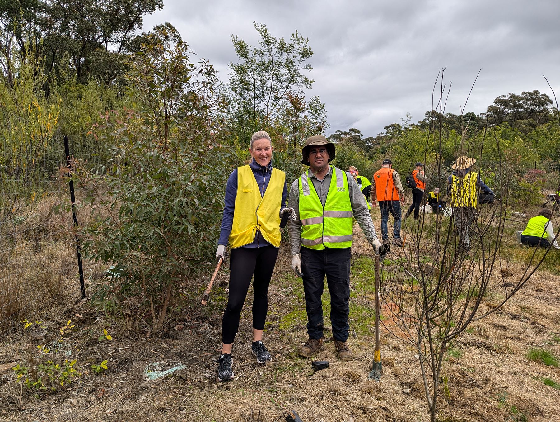 A day of tree planting at Lucas Heights | Australian Mutual Bank